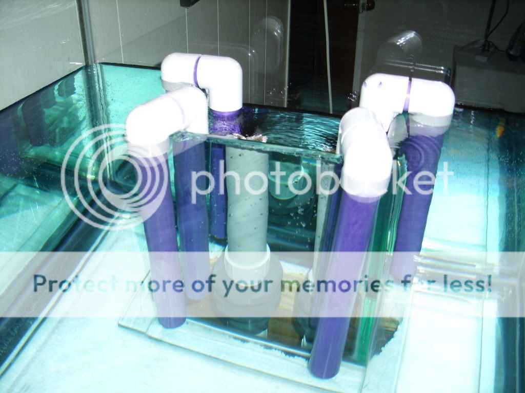 Redearslider.com :: View topic - 180g with Overflow, can turtles get in?